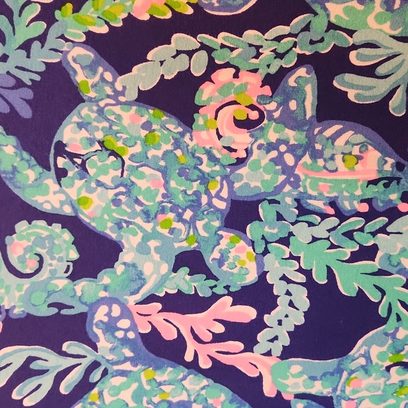 Lilly Pulitzer | Dresses | Lilly Pulitzer Sophia Dress With Beautiful ...